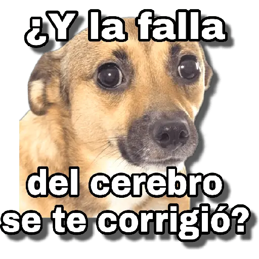 ಠ⁠_⁠ಠ⁠)⁠☞TE FALLA NO?🧠 ★ sticker.fan